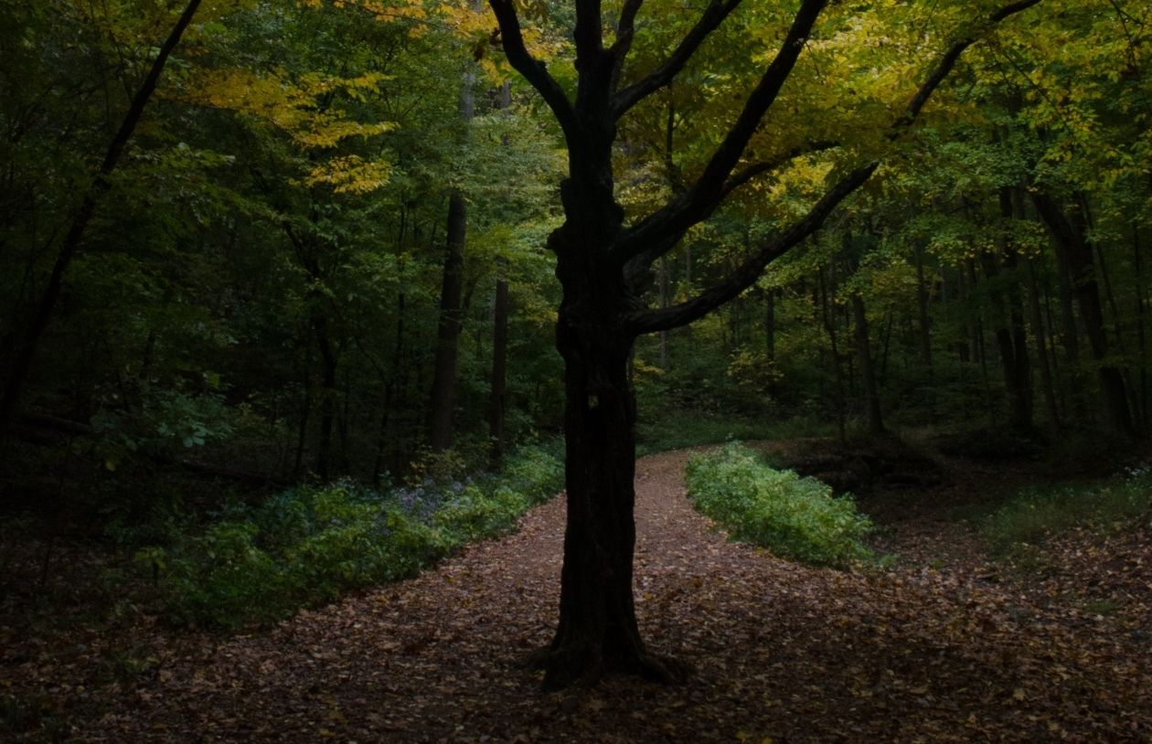 Astrology for October 2020 - Mark Lambrick